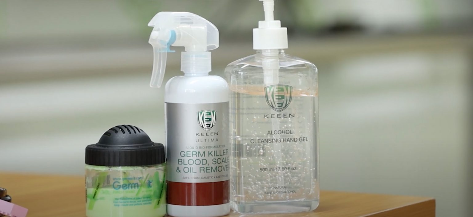 Green Hygienic School Solution - KEEEN