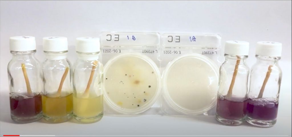 Green Hygienic School Solution - KEEEN